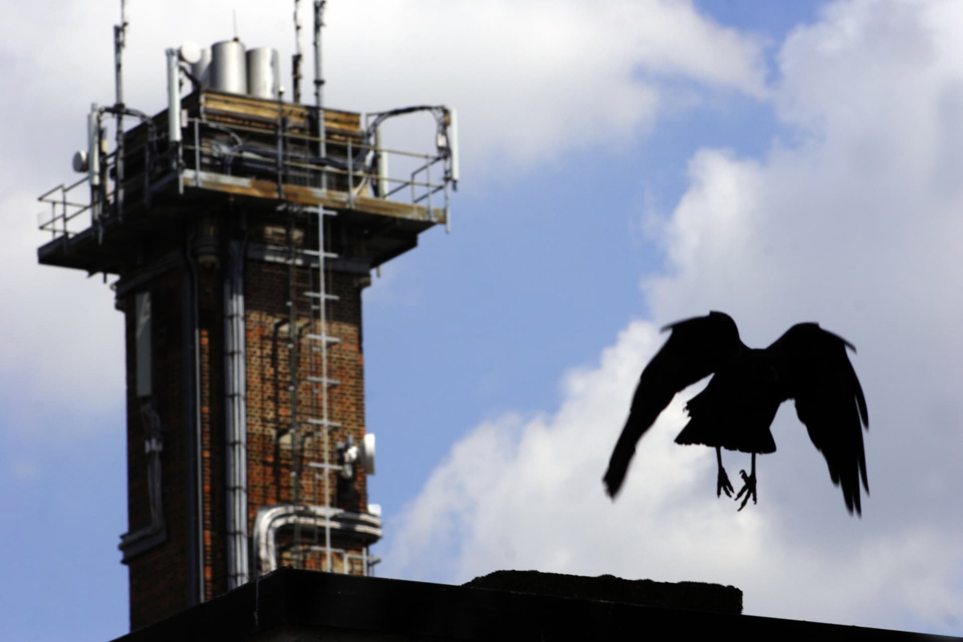 Crow London | Max Reeves | Photographer